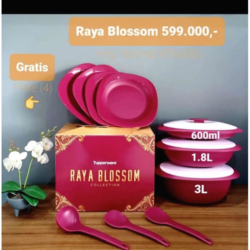 Jual RAYA BLOSSOM SET TUPPERWARE | Shopee Indonesia