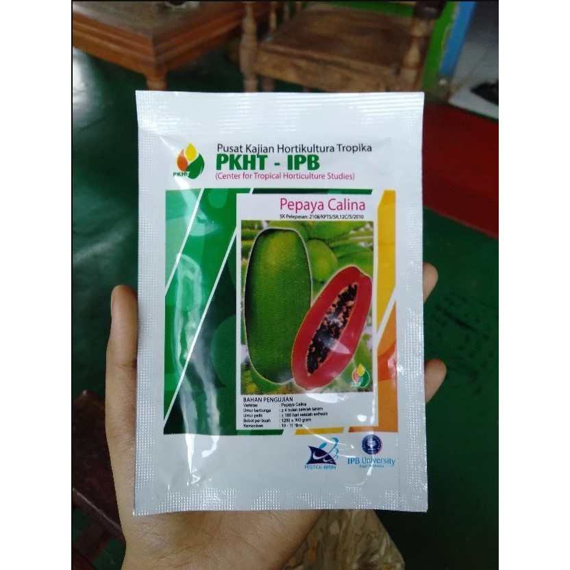 Jual Ready Stock,, BENIH PEPAYA CALINA CALIFORNIA pkht IPB ISI 250 ...
