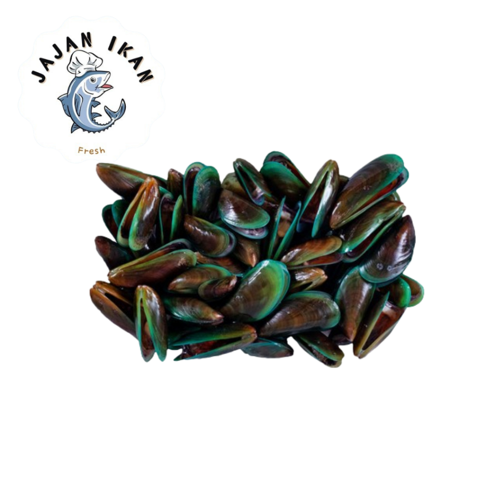 Jual [JAJAN IKAN] Kerang Hijau Segar Frozen 1 Kg | Shopee Indonesia
