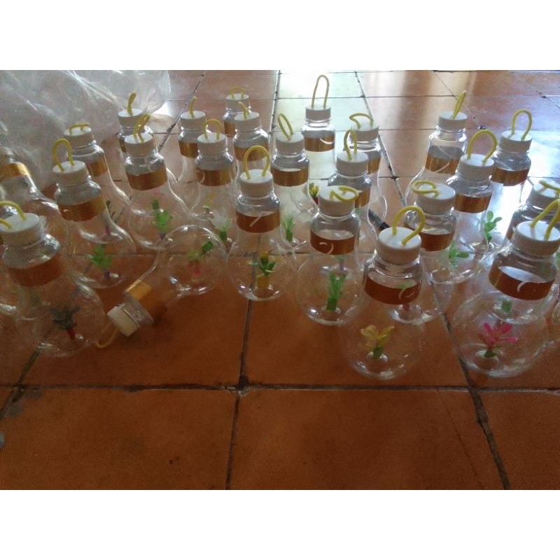Jual Botol Ikan/Tempat Ikan Cupang/Aquarium botol | Shopee Indonesia
