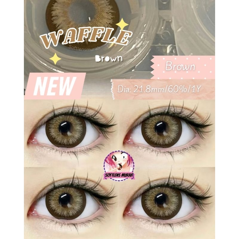 Jual NEW WAFFLE BROWN softlens brown big eyes softlens korea original ...