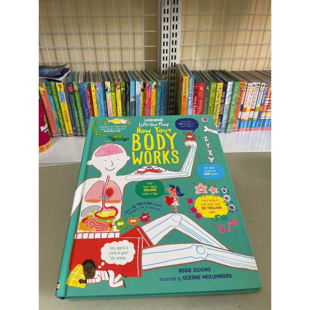 Jual How Your Body Works - Flaps Board Book - Imported Education kids ...