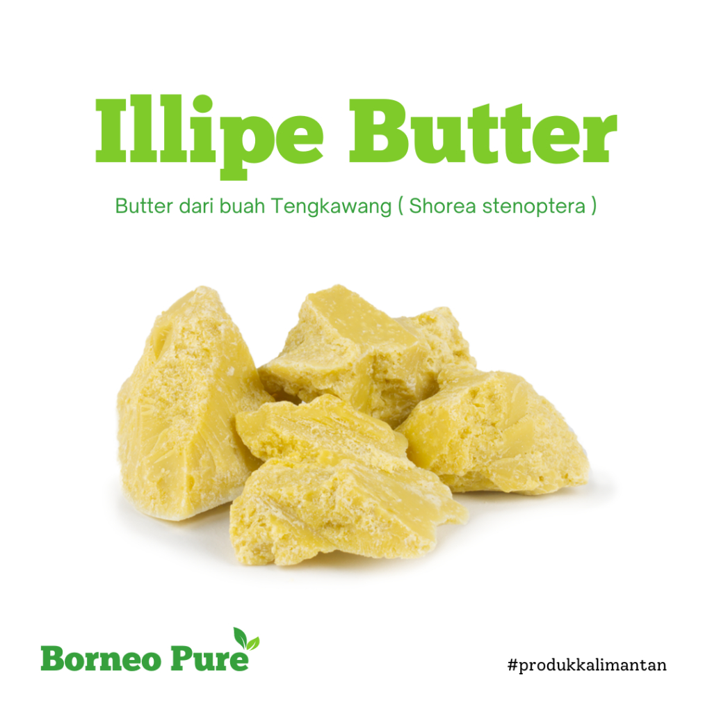 Jual Illipe Butter ( Organic Unrefined ) ( 50gr ) - Borneo Pure ...