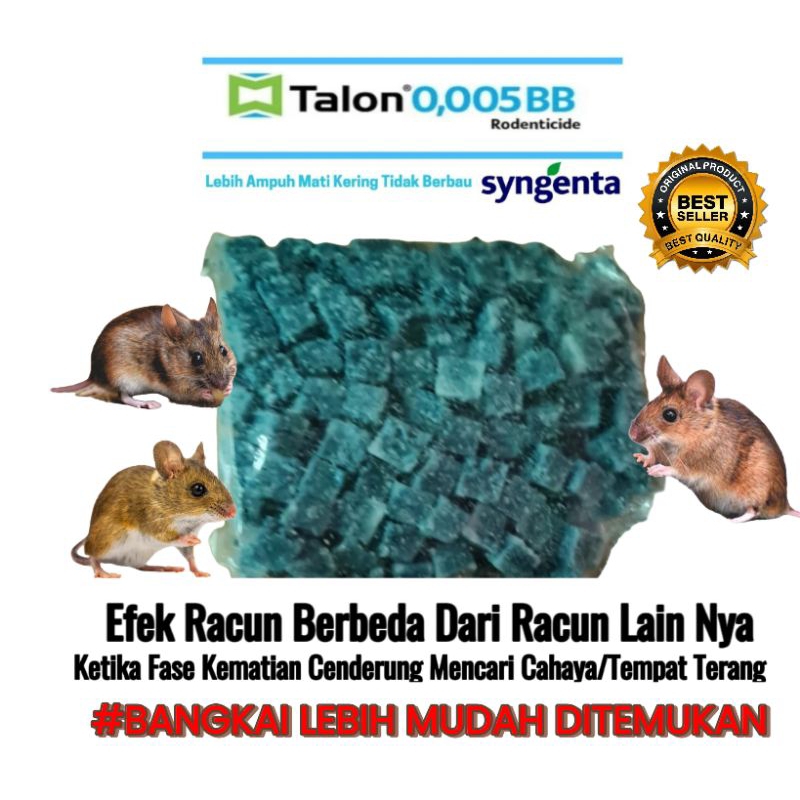 Jual Racun Tikus Mati Kering Ampuh / Obat Tikus Ampuh Mati Kering (Rat ...