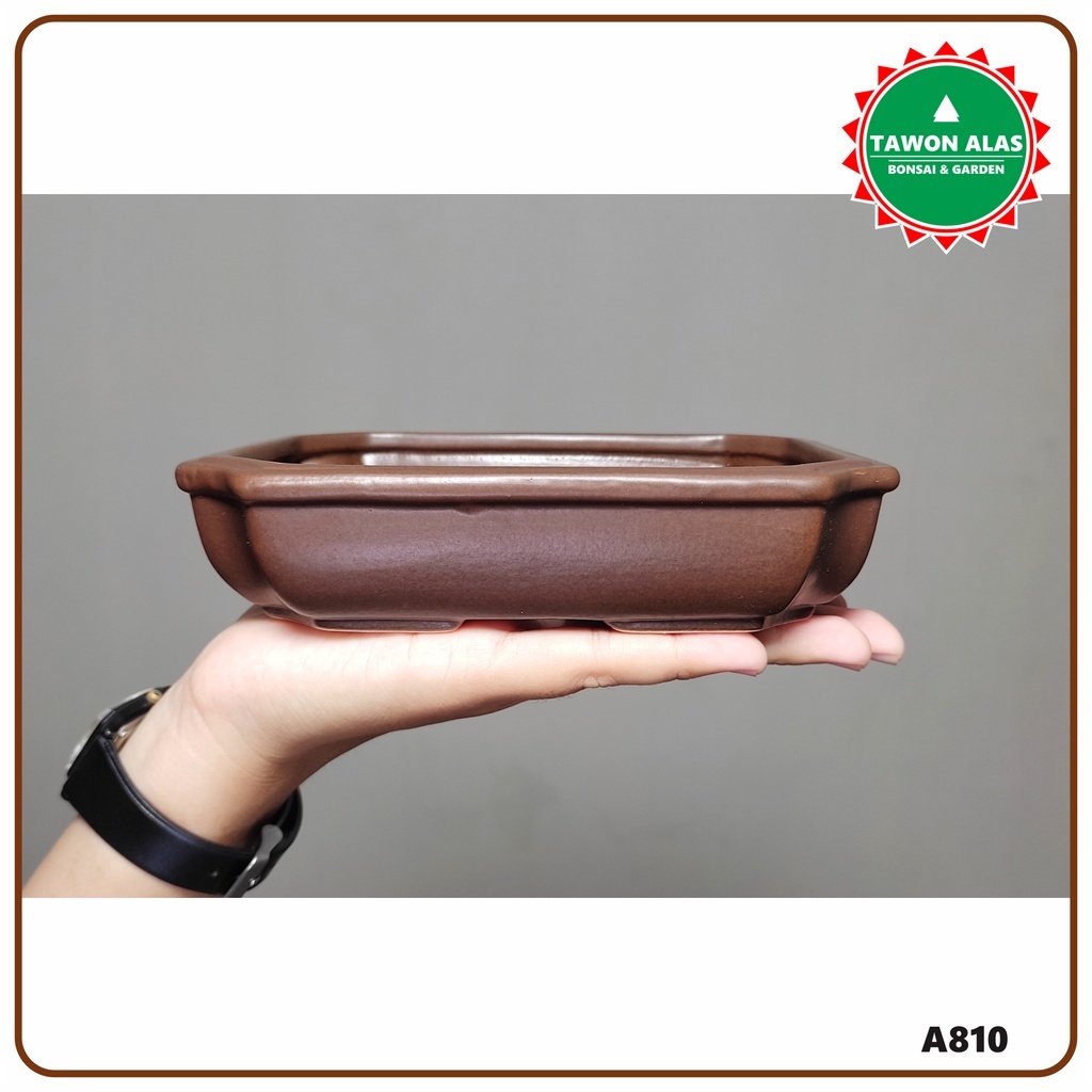 Jual POT KERAMIK BONSAI Mame Mini Sukulen Bunga Anggrek Kaktus Tanaman ...