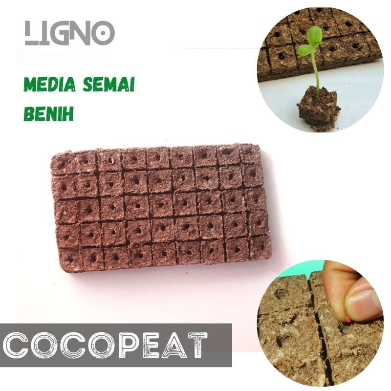 Jual Media Semai COCOPEAT TRAY Organik Tanaman Hidroponik Isi 45 Lobang ...