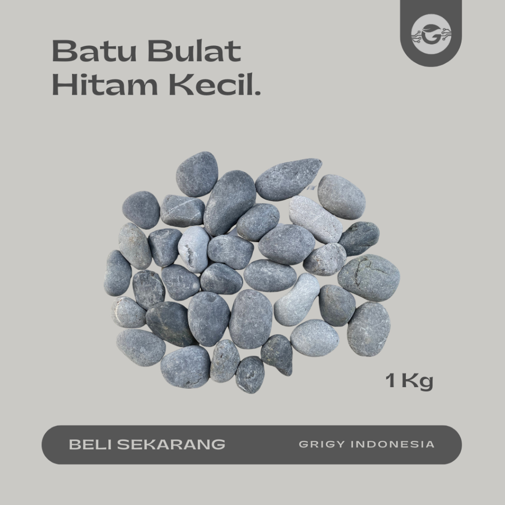 Jual BATU TAMAN KORAL HITAM BULAT 1000 GRAM BERBAGAI MACAM UKURAN ...