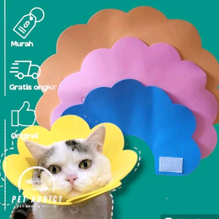 Jual Collar Corong Pelindung Leher Bahan Spon Spoon Eva Mencegah ...