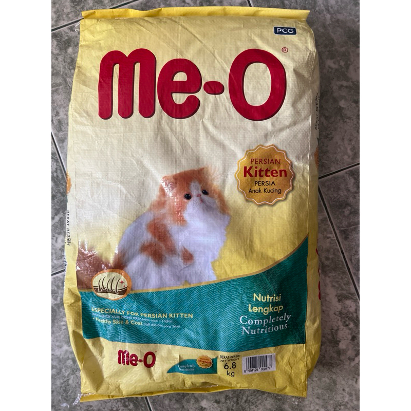 Jual Meo kitten persian 6,8kg | Shopee Indonesia