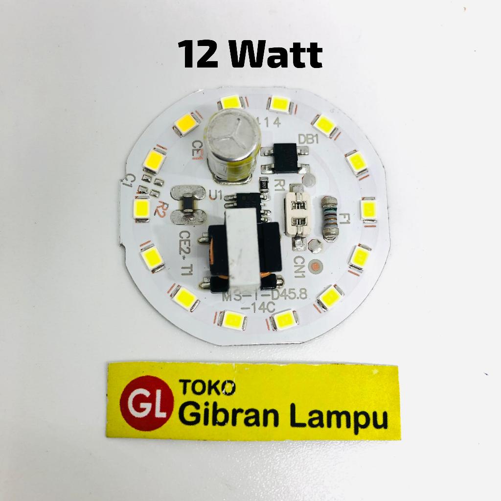 Jual PCB LED AC Tipe MS-1 Plus Trafo - Modul Lampu LED Rumahan A/T Bulb ...