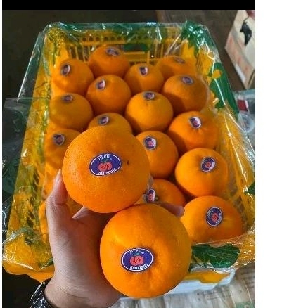 Jual jeruk wogan | Shopee Indonesia