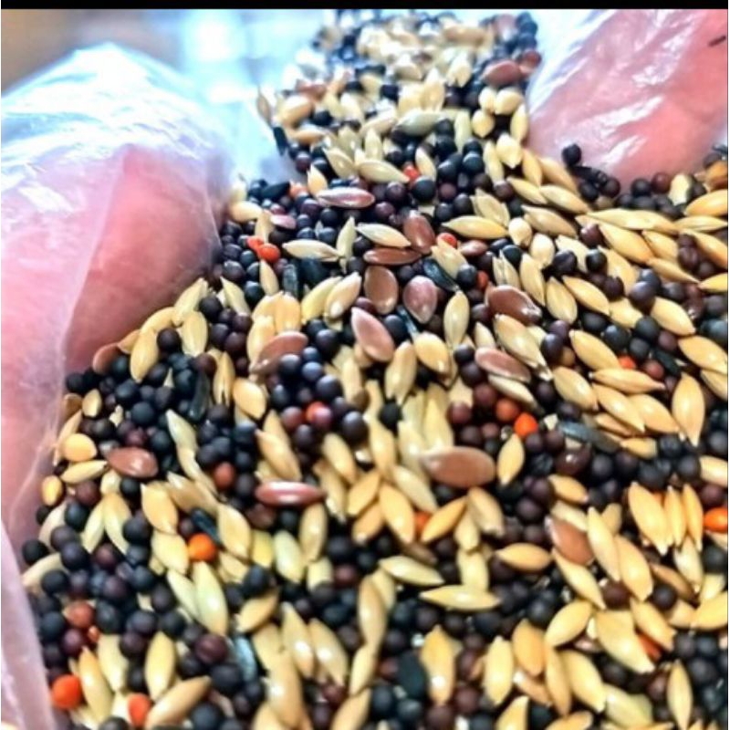 Jual pakan burung kenari 250 gram premium | Shopee Indonesia