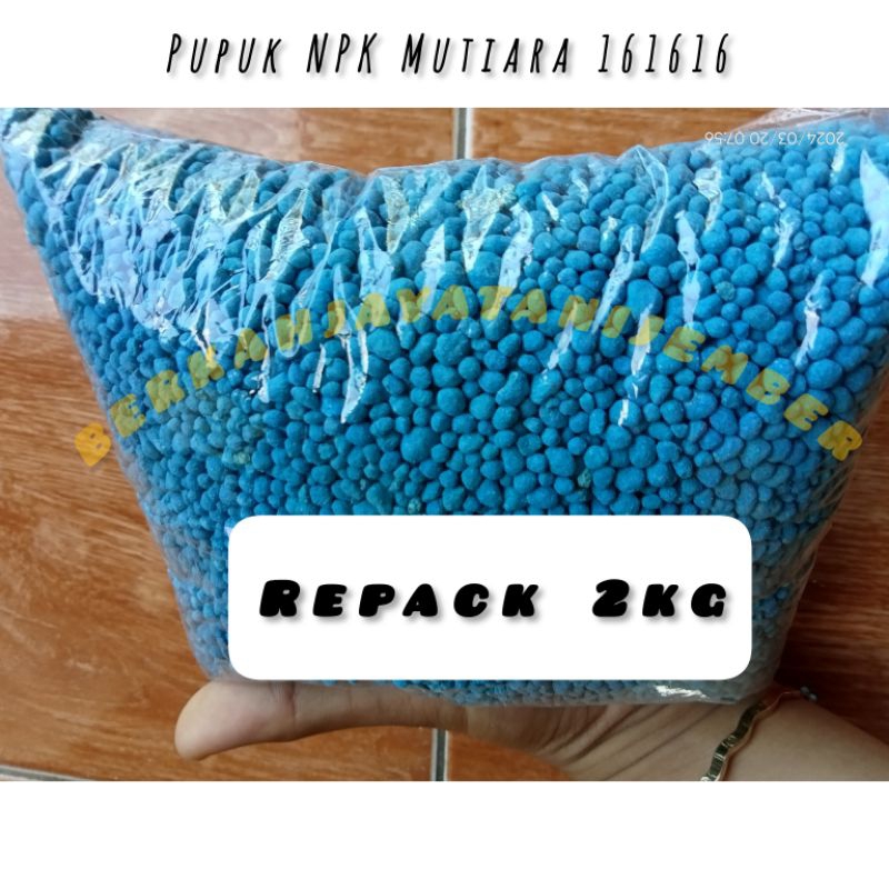 Jual Pupuk NPK mutiara 161616 repack 2kg/Pupuk tanaman 100% Original | Shopee Indonesia