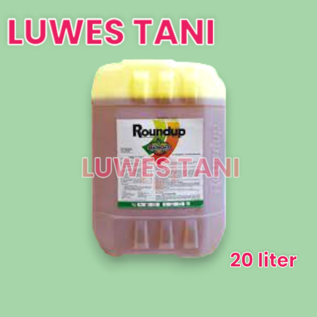 Jual Roundup 20 liter (Jerigen) herbisida sistemik rumput kering sampai ...