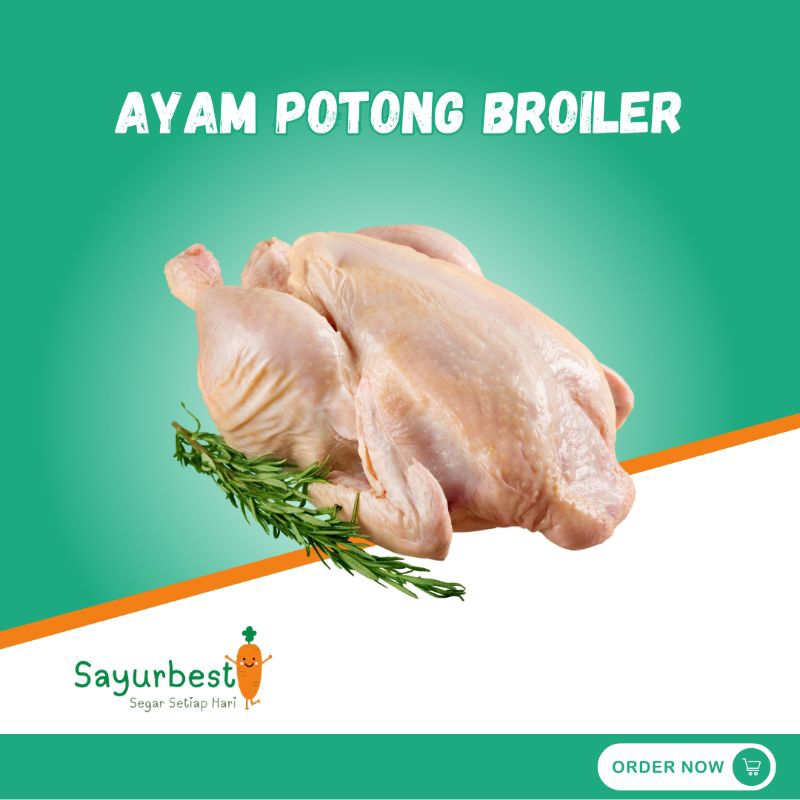 Jual Ayam Potong Segar 1 Ekor ukuran (1,1kg - 1,3kg) | Shopee Indonesia