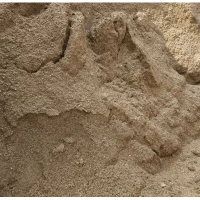 Jual 1 COLT Pasir Sedot / Pasir Plester | Shopee Indonesia