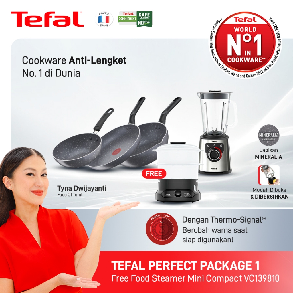 Jual Tefal Perfect Package 1 - Set Frypan/Wajan dan Blender Perfect Mix+ | Shopee Indonesia