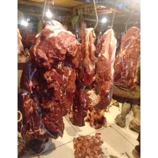 Jual Kepala Sapi Terlengkap & Harga Terbaru Juni 2024 | Shopee Indonesia