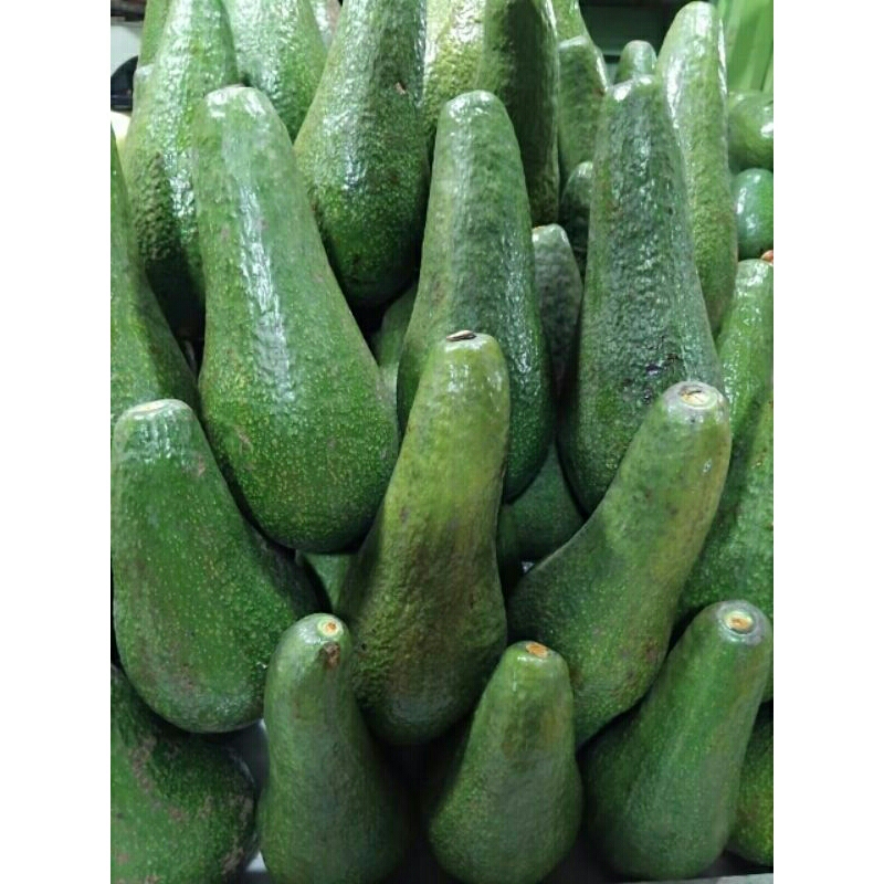 Jual ALPUKAT ALIGATOR 1Kg - Buah Alpukat Mentega - Pulen Enak Fresh dan ...
