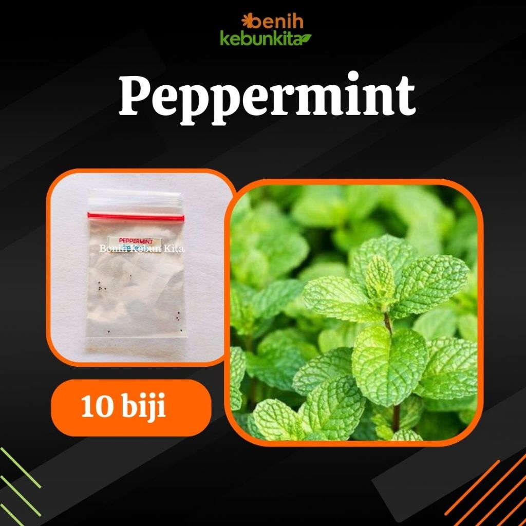 Jual Biji Benih Bibit Tanaman Herbal Peppermint | Shopee Indonesia