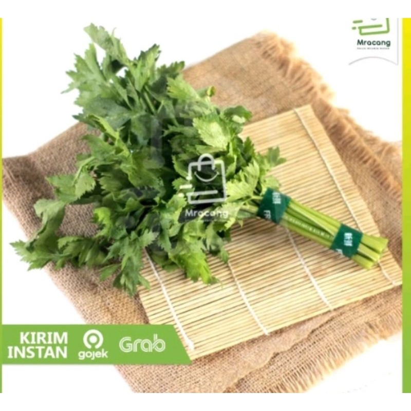 Jual daun seledri/daun sop ikatan besar | Shopee Indonesia