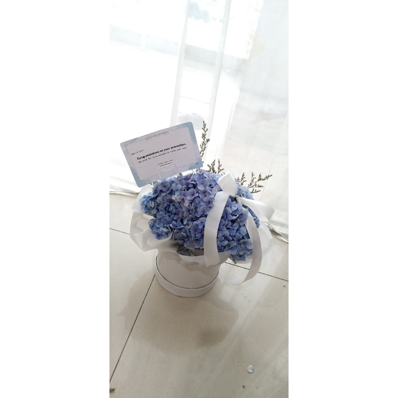 Jual Hydrangea box series bouquets bucket buket bunga segar fresh ...