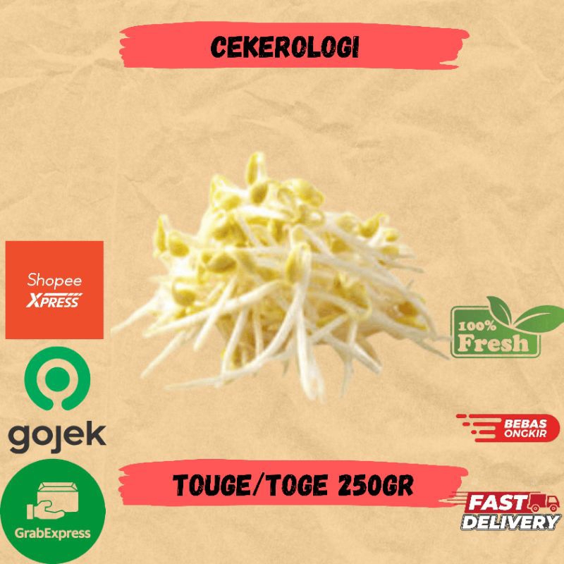Jual Tauge 250gr / Toge / Toge Fresh Berkualitas / JABODETABEK / Tauge ...
