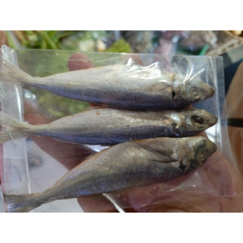 Jual ikan asin cingeng 1 bungkus | Shopee Indonesia