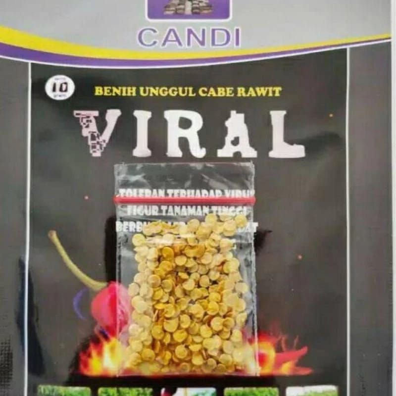 Jual Benih Cabe Viral cabai viral 100 ( jaminan asli ) | Shopee Indonesia