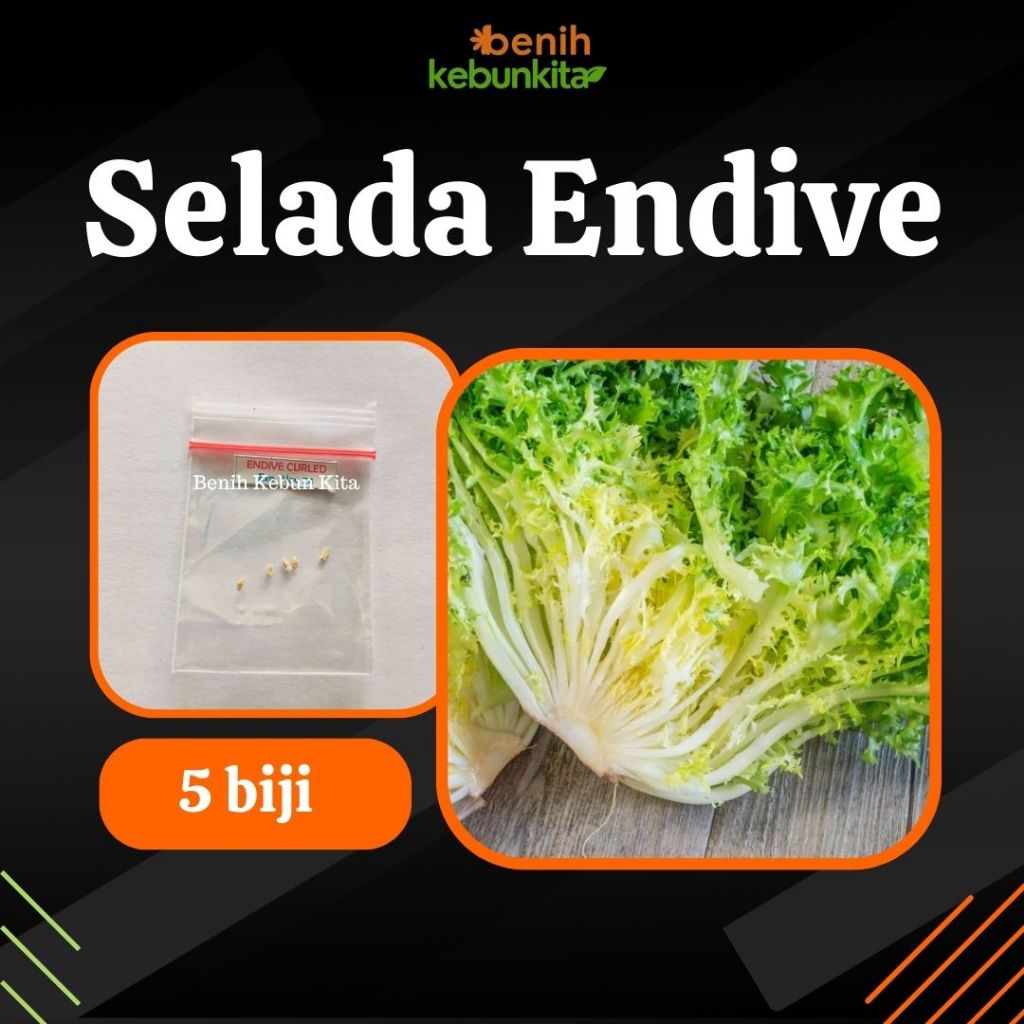 Jual Biji Benih Bibit Tanaman Sayuran Endive Curled Unggul Berkualitas | Shopee Indonesia
