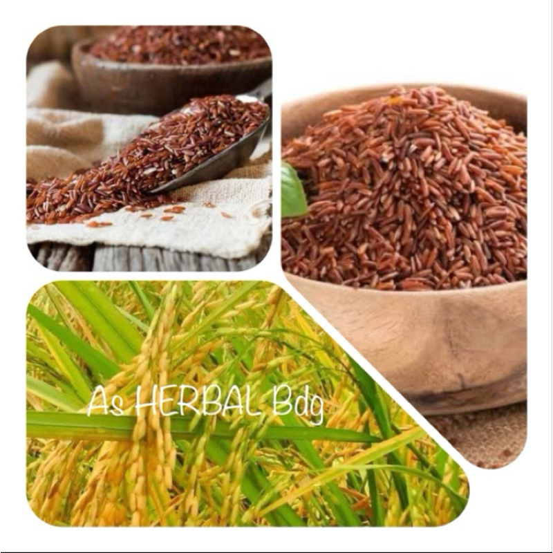 Jual Jual gabah padi beras merah pulen super 1 kg-az | Shopee Indonesia