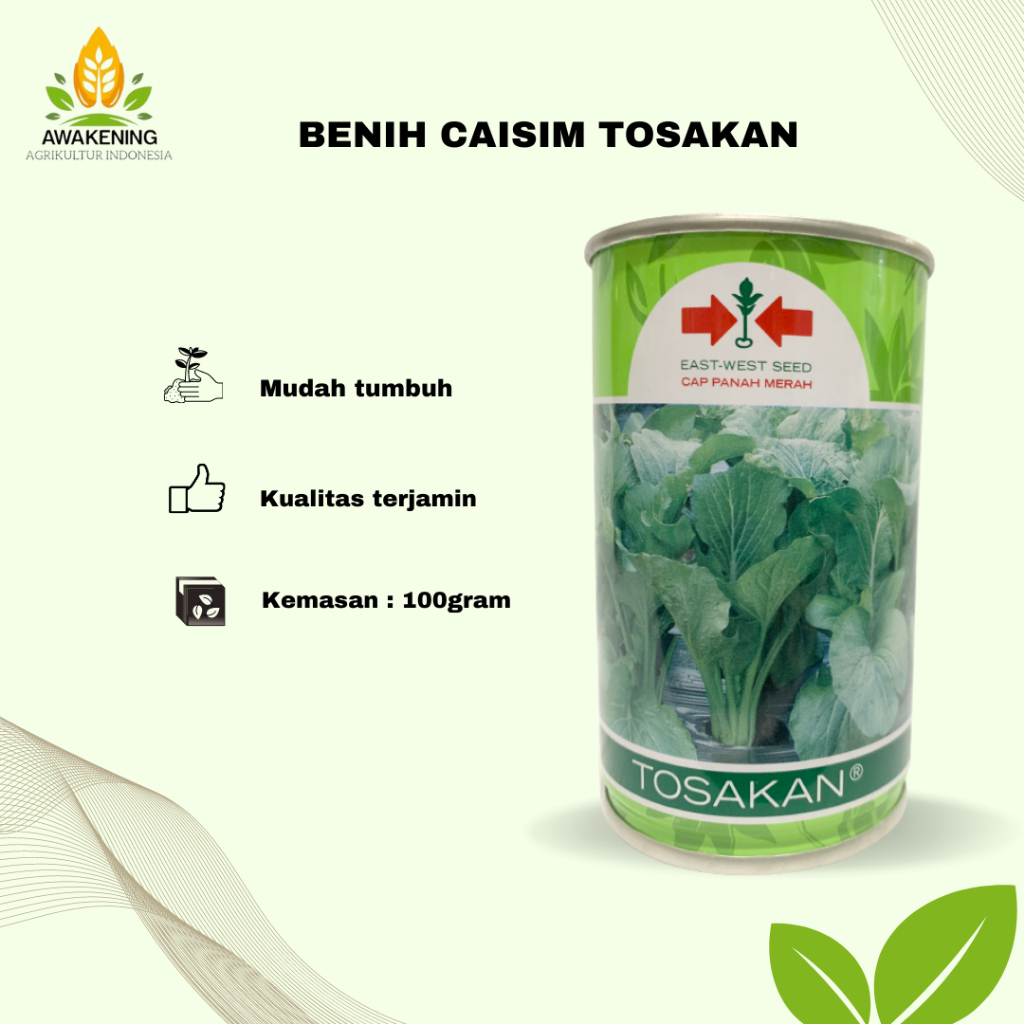 Jual BENIH SAYUR CAISIM TOSAKAN KLG PANAH MERAH 100GR (BELI 5 GRATIS 1 ...