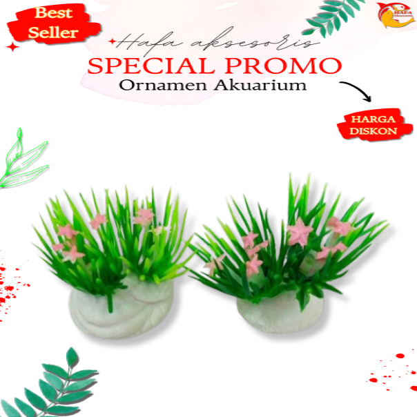 Jual Hiasan Aquarium Ornamen Akuarium dan Dekorasi Aquascape Rumput ...