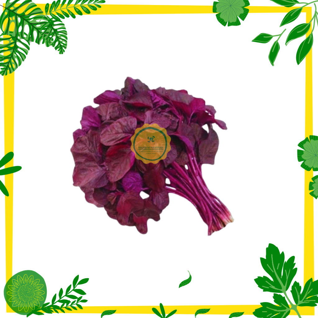 Jual Bayam Merah Segar Nusantara - 1 Ikat (200 - 250 Gram) | Shopee ...