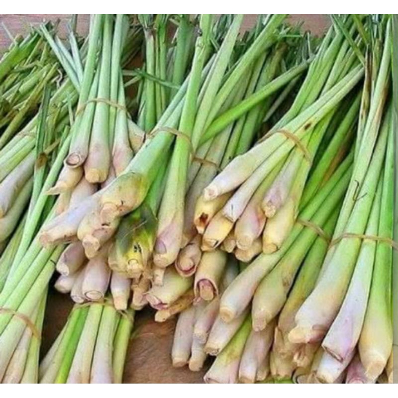 Jual Sere, Serai Segar 1 kG | Shopee Indonesia
