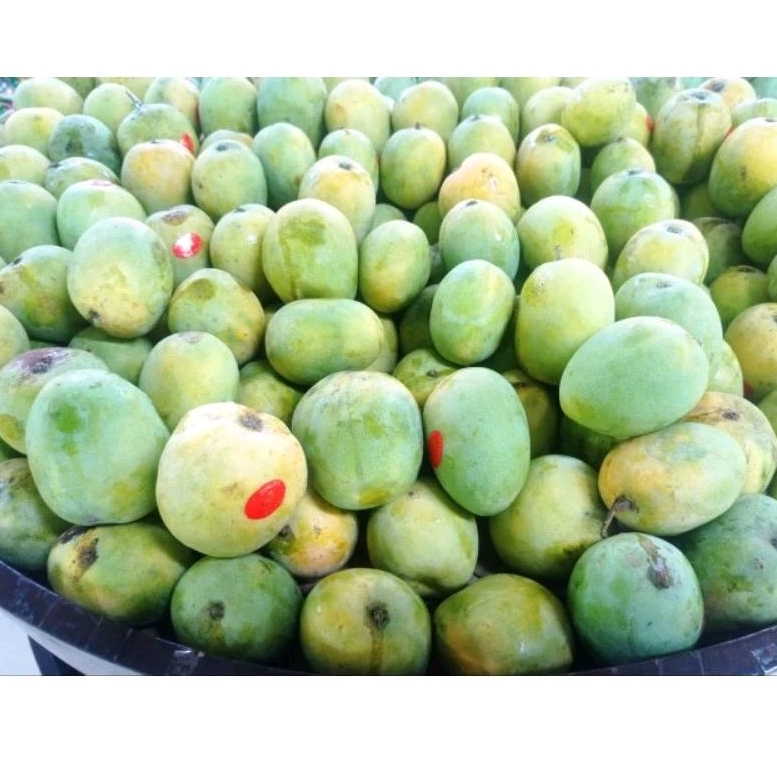 Jual BUAH MANGGA GEDONG FRESH 1 KG | Shopee Indonesia