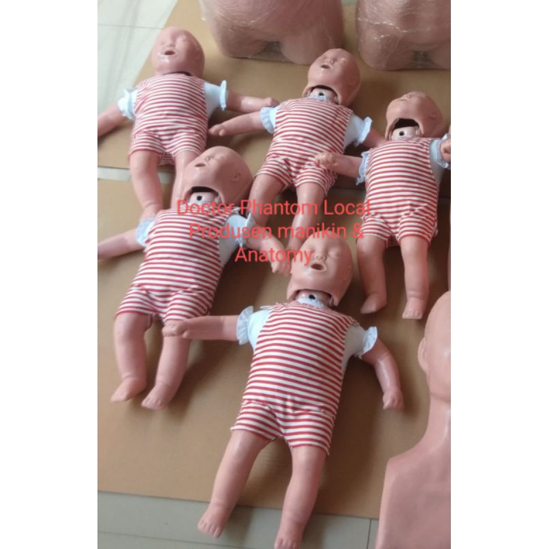 Jual Phantom Manikin Baby Anne / Manikin Bayi Tersedak /Phantom Manikin ...