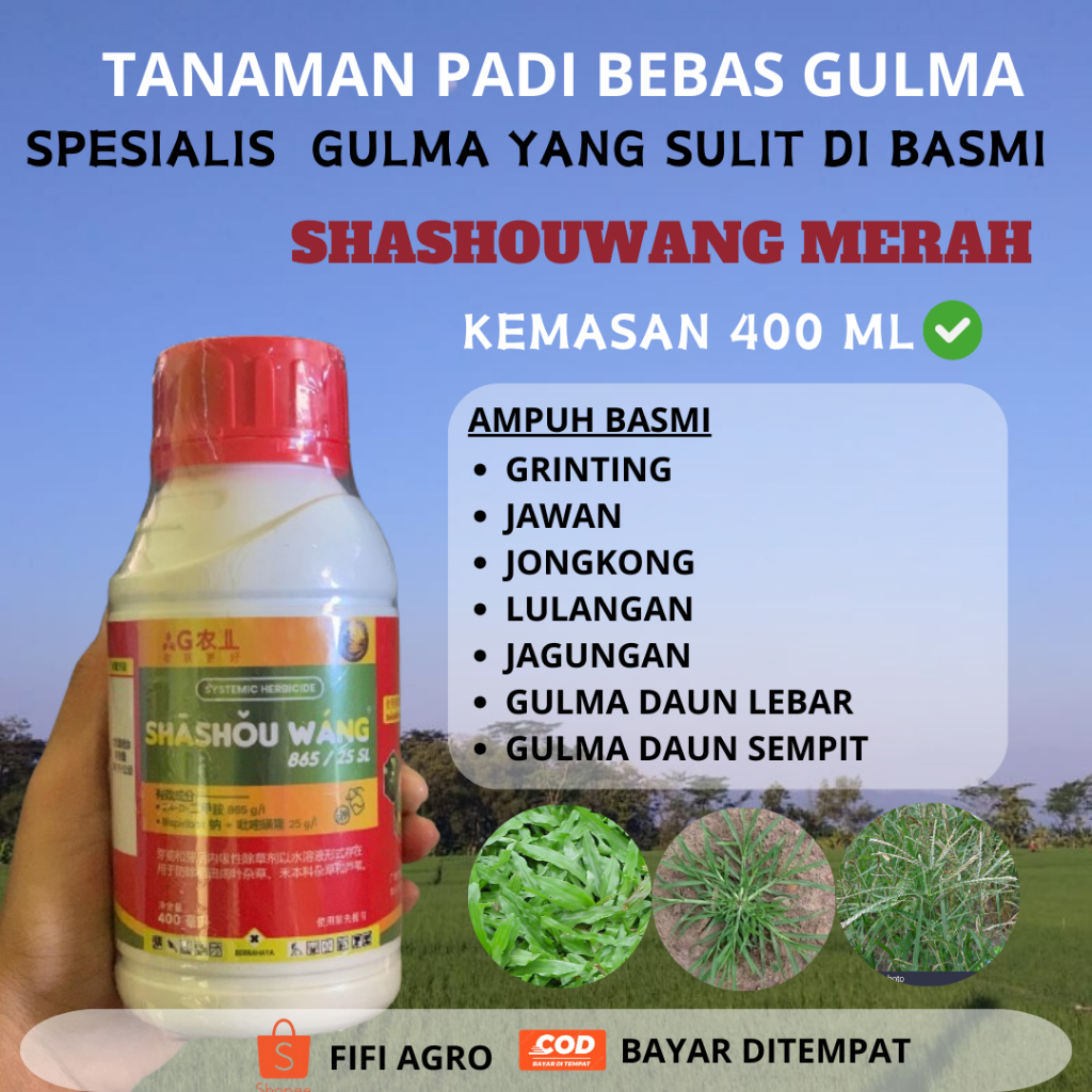 Jual Pembasmi Rumput Liar Gulma Tanaman Padi Shashouwang Merah ...