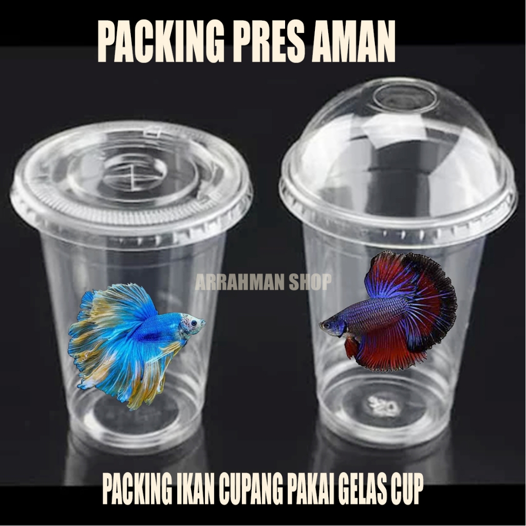 Jual packing kardus kusus cupang gelas cup presan - packing peking ...