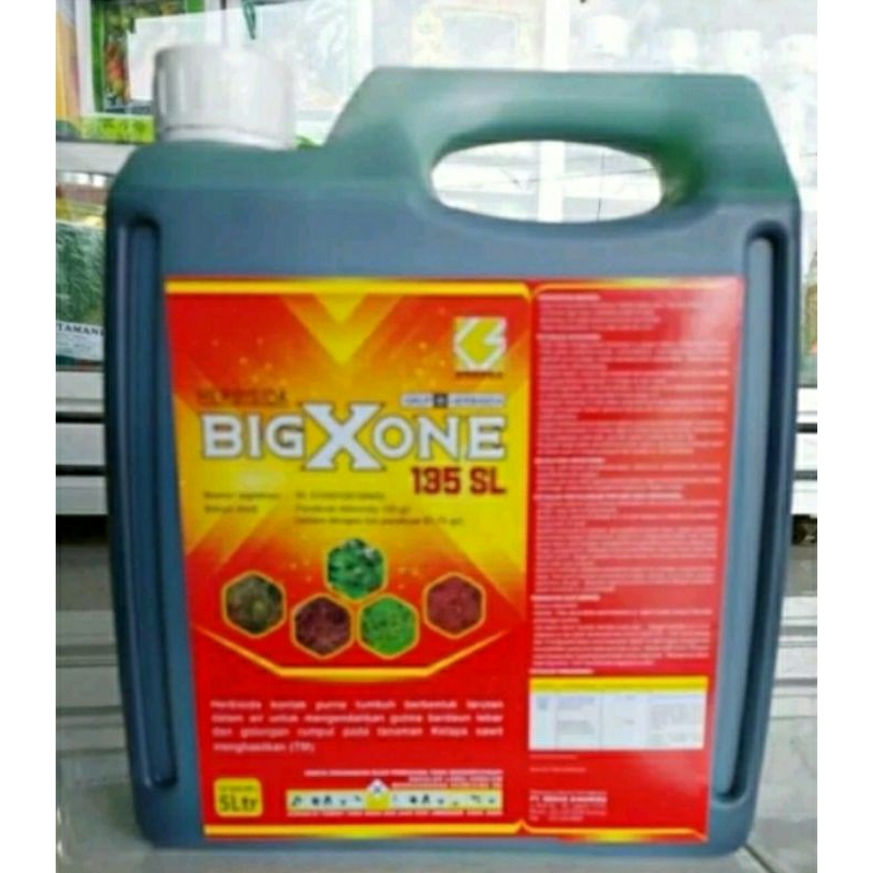 Jual BIGXONE 5 LITER, Obat rumput kontak, PARAQUAT, sejenis dengan ...