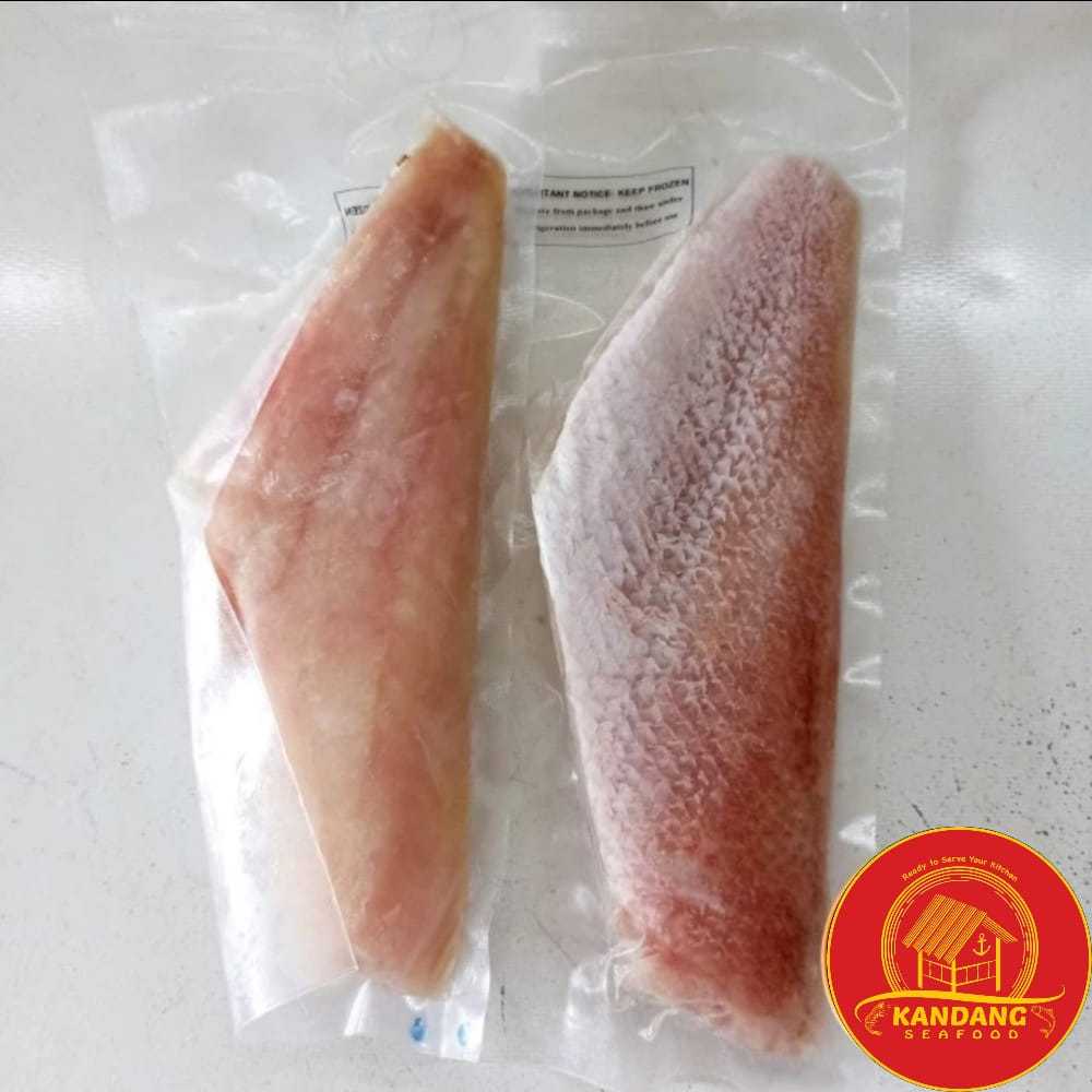 Jual Ikan Kakap Merah Fillet Premium / Red Snapper / Frozen Fresh ...