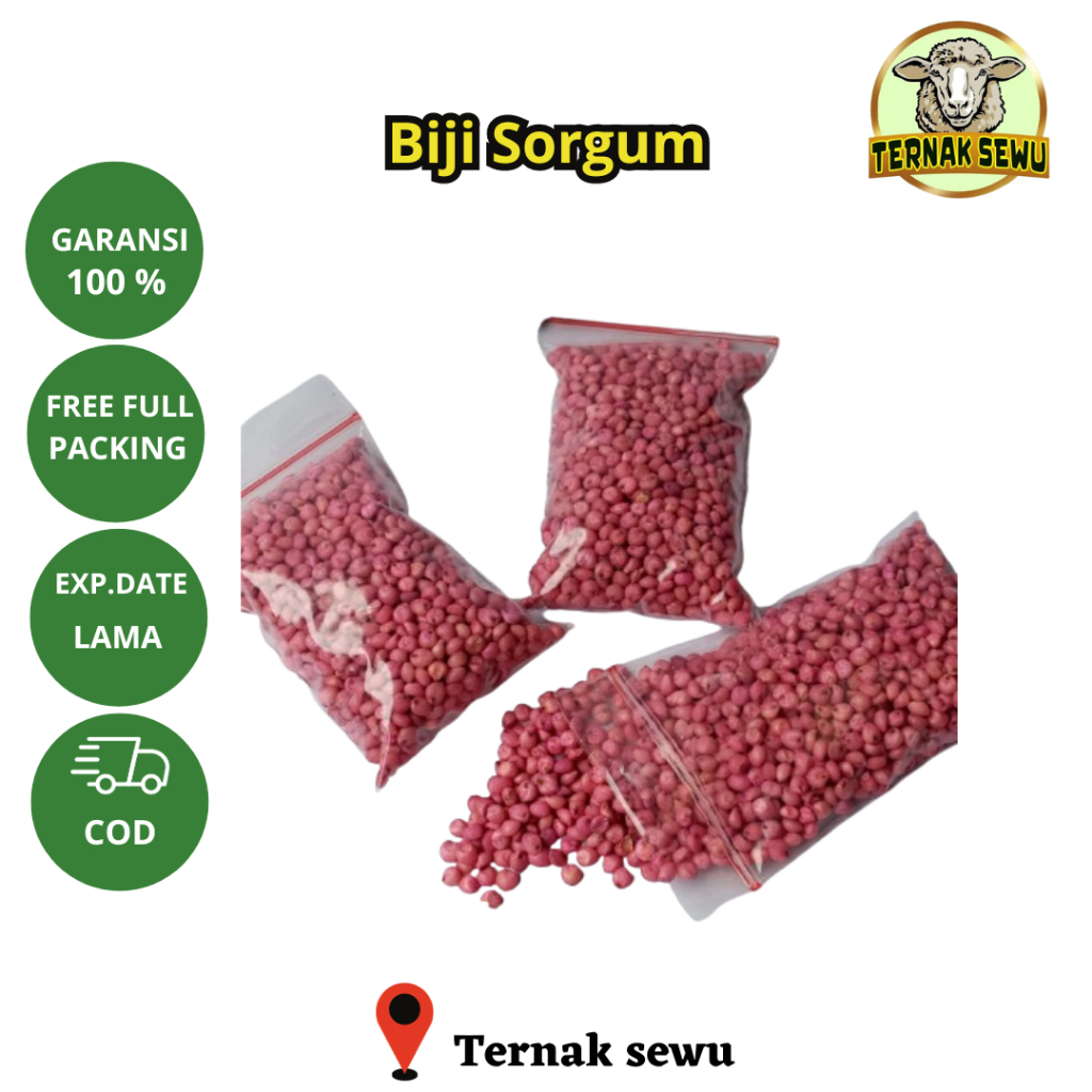Jual Benih Sorgum hijauan pakan ternak sumber protein | Shopee Indonesia