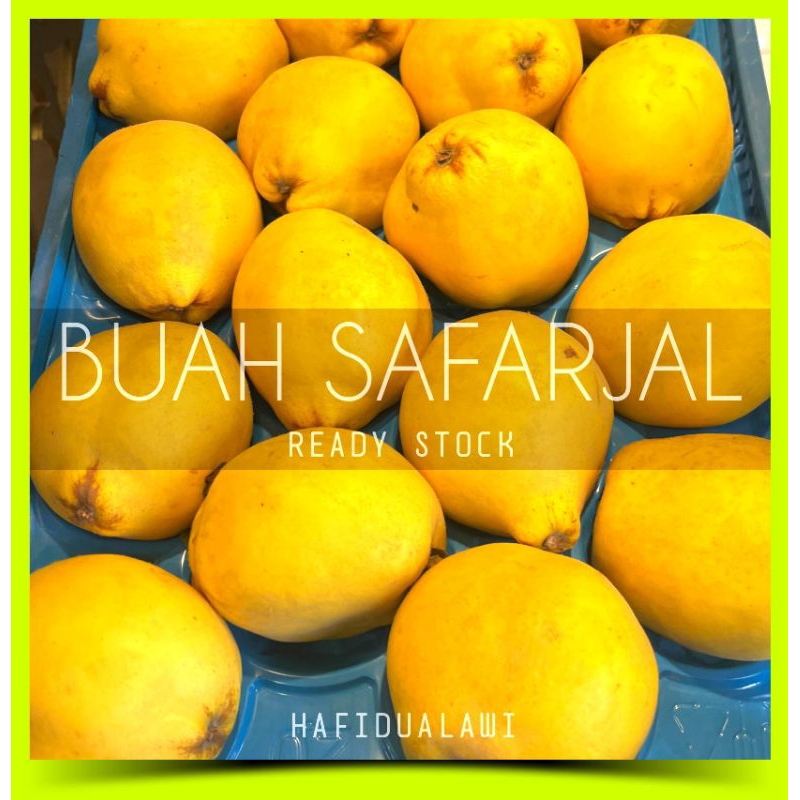 Jual Buah Safarjal perbiji buah Quince perbuah ready stok 15 Agustus ...