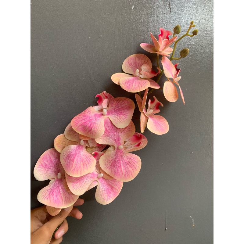Jual ANGGREK LATEK JUMBO 3 CABANG / VAS BUNGA AESTHETIC/ RANGKAIAN ...