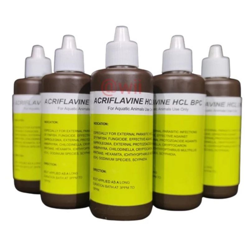 Jual Acrivlafine Acriflavine HCL BPC 100ML obat cair ikan hias cupang ...