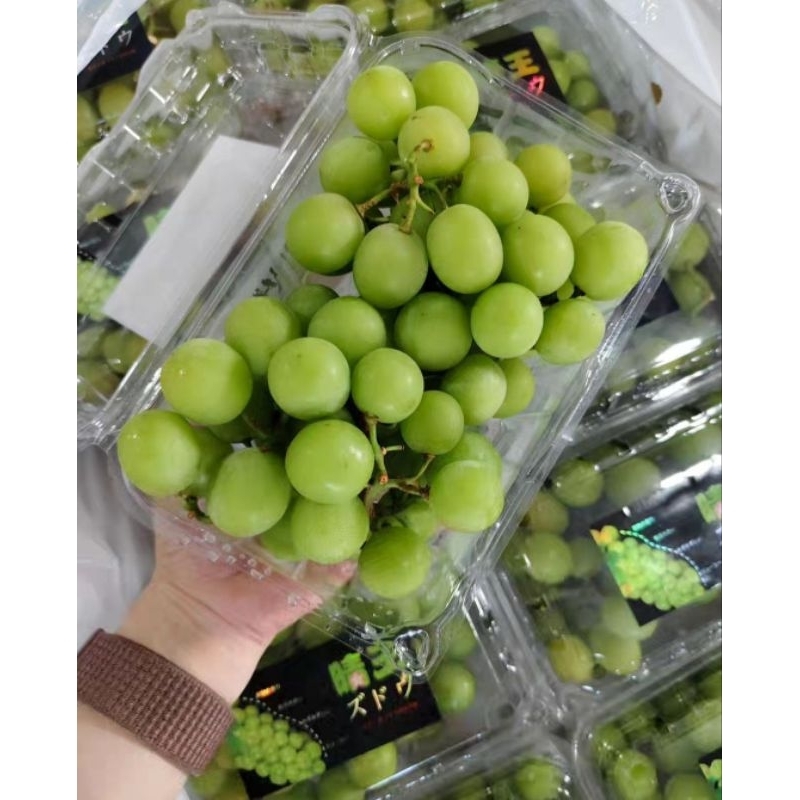 Jual Anggur Shine Muscat 500 gr | Shopee Indonesia