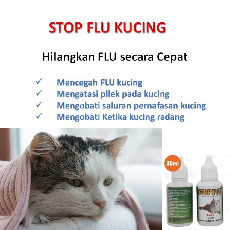 Jual stop flu kucing / vitamin kucing flu dan daya tahan tubuh ...