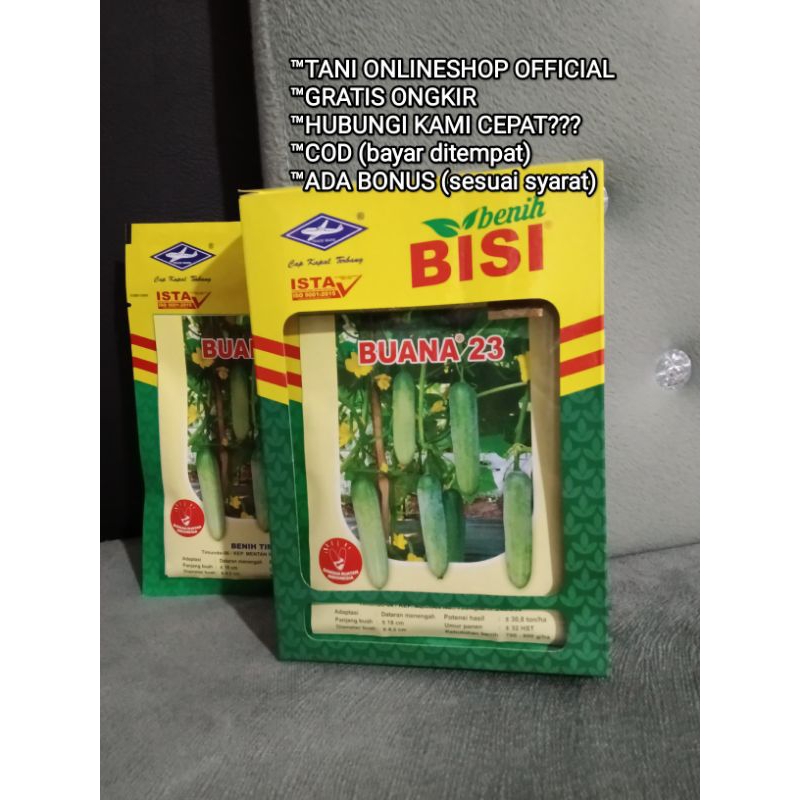 Jual Benih Bibit Timun Buana 23 F1 (Tahan Virus, Perawatan Mudah dan ...
