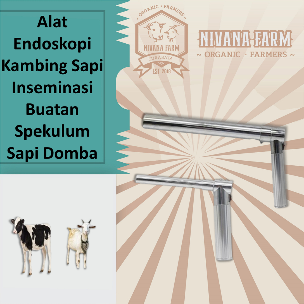 Jual Alat Endoskopi Kambing Inseminasi Buatan Spekulum Kambing Sapi Domba Babi | Shopee Indonesia