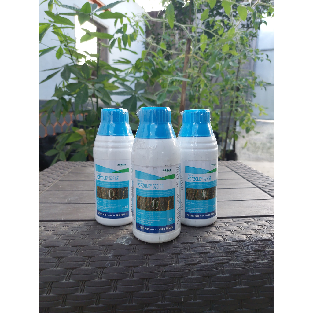 Jual Fungisida Sistemik Protektif POPZOLE 525 SE - 240 ml - Propikonazol + Trisiklazol | Shopee ...
